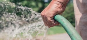How to Clean a Garden Hose? | Easy Steps & Tips - Farm City State: Your ...