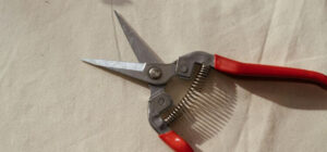 How to Sharpen Pruning Shears (9 Easy Steps)