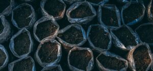 How To Remove Rocks From Soil: Easy & Efficient Methods - Farm City ...