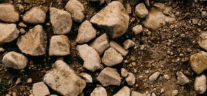 How To Remove Rocks From Soil: Easy & Efficient Methods - Farm City ...