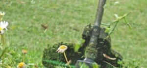 How to Use a Weed Wacker to Edge: Trim Like a Pro! - Farm City State ...